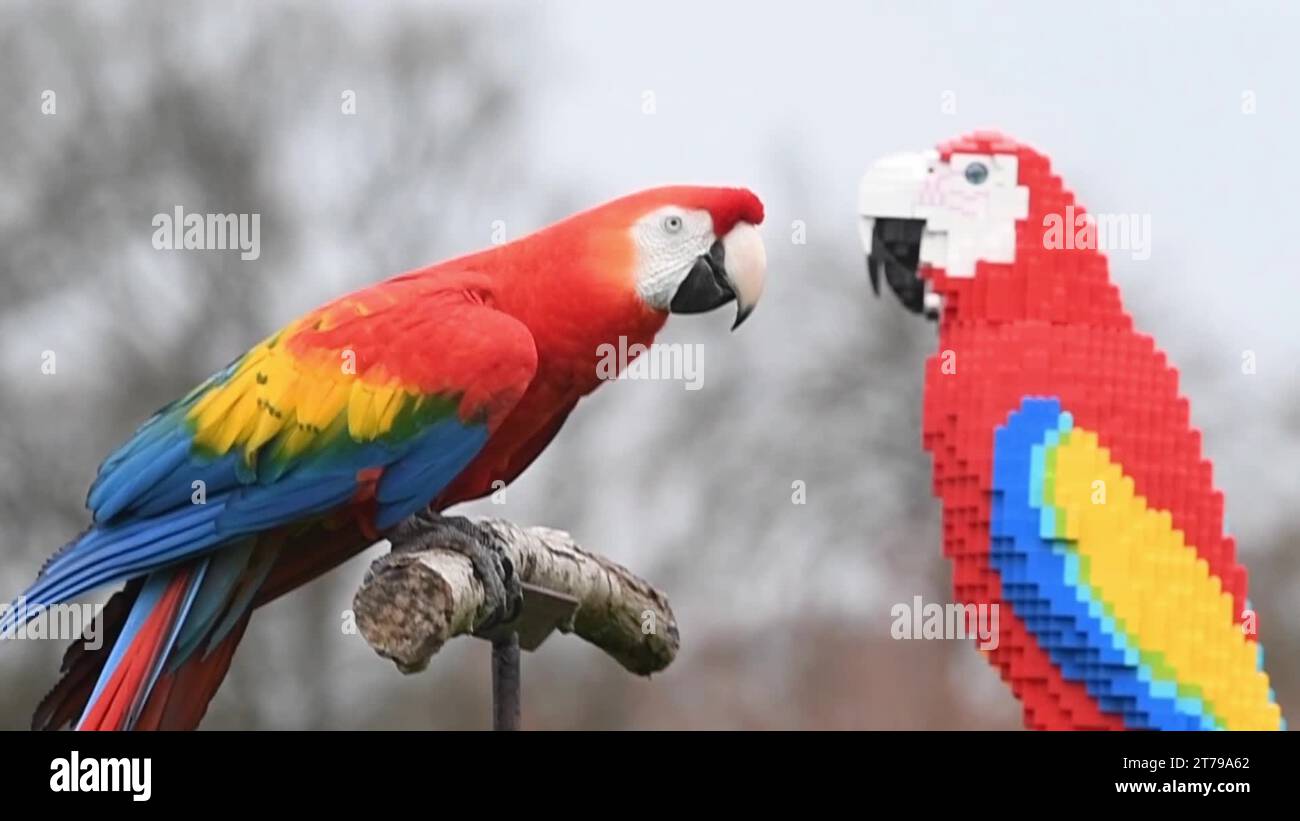 Lego bricks sculpture Stock Videos & Footage - HD and 4K Video Clips ...