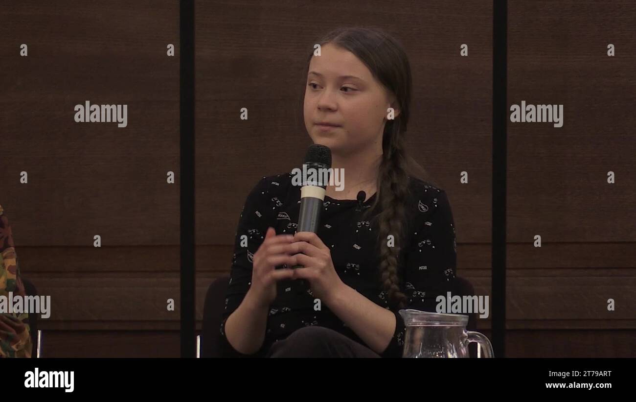 Greta thunberg movement Stock Videos & Footage - HD and 4K Video Clips ...