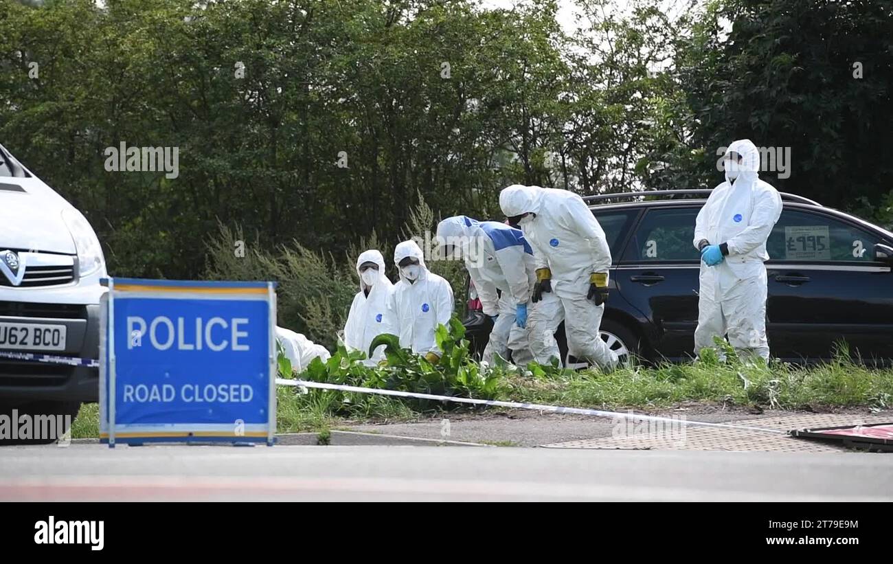 Police officers forensics officer Stock Videos & Footage - HD and 4K ...