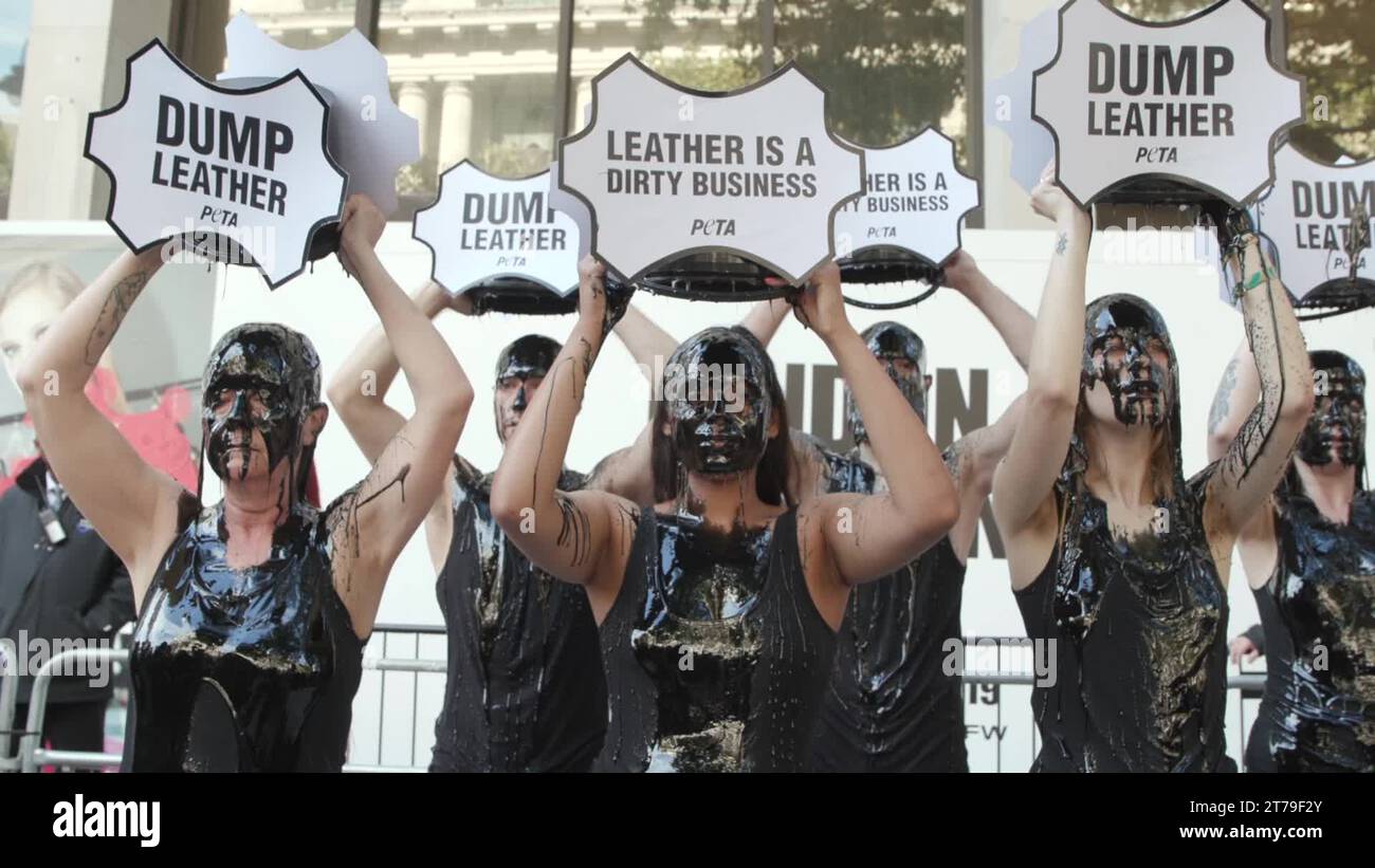 Peta people ethical treatment Stock Videos & Footage - HD and 4K Video ...