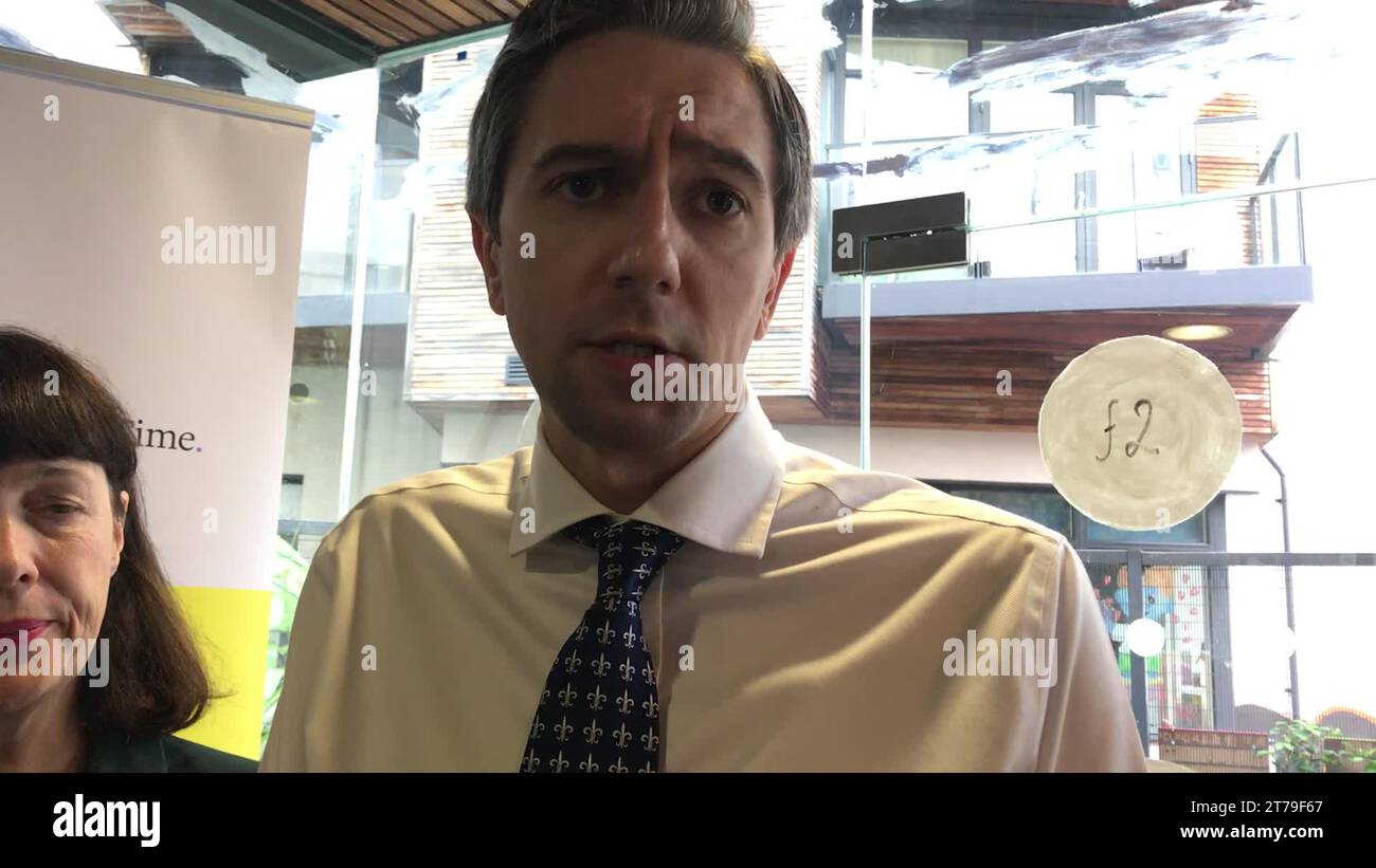 Simon evans Stock Videos & Footage - HD and 4K Video Clips - Alamy