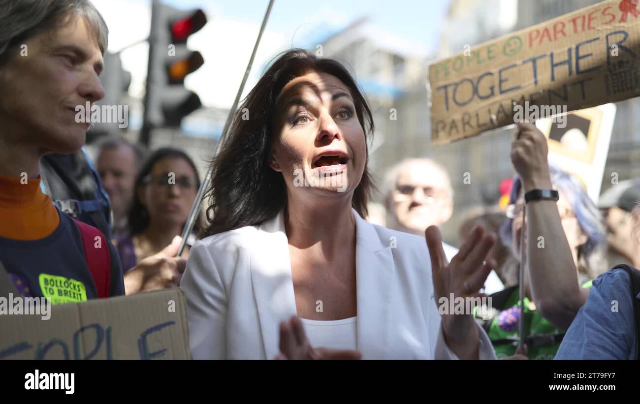 The former liberal mp Stock Videos & Footage - HD and 4K Video Clips ...