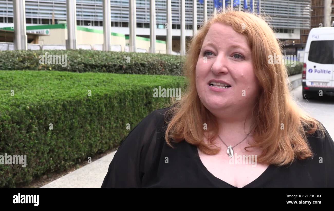 Former mep mp Stock Videos & Footage - HD and 4K Video Clips - Alamy