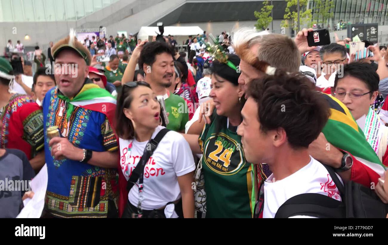 South africa rugby fan Stock Videos & Footage - HD and 4K Video Clips ...