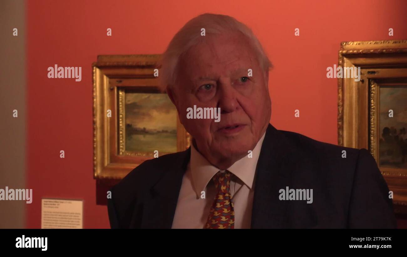 David turner Stock Videos & Footage - HD and 4K Video Clips - Alamy