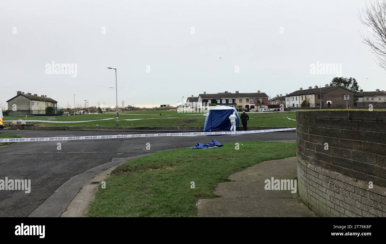 Body parts found Stock Videos & Footage - HD and 4K Video Clips - Alamy