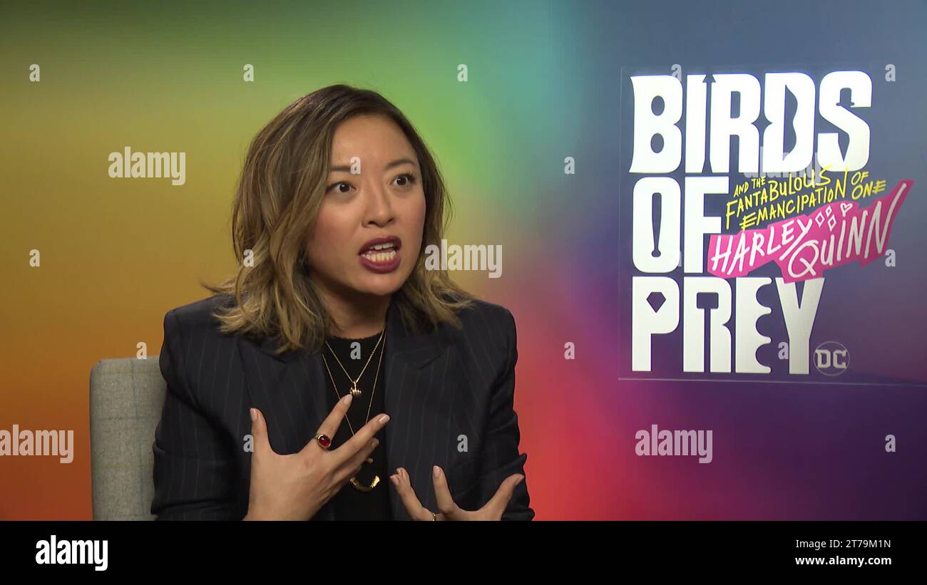 Harley quinn margot robbie 2020 Stock Videos & Footage - HD and 4K ...