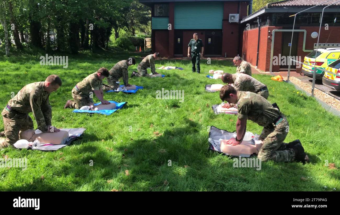 Royal military service Stock Videos & Footage - HD and 4K Video Clips ...