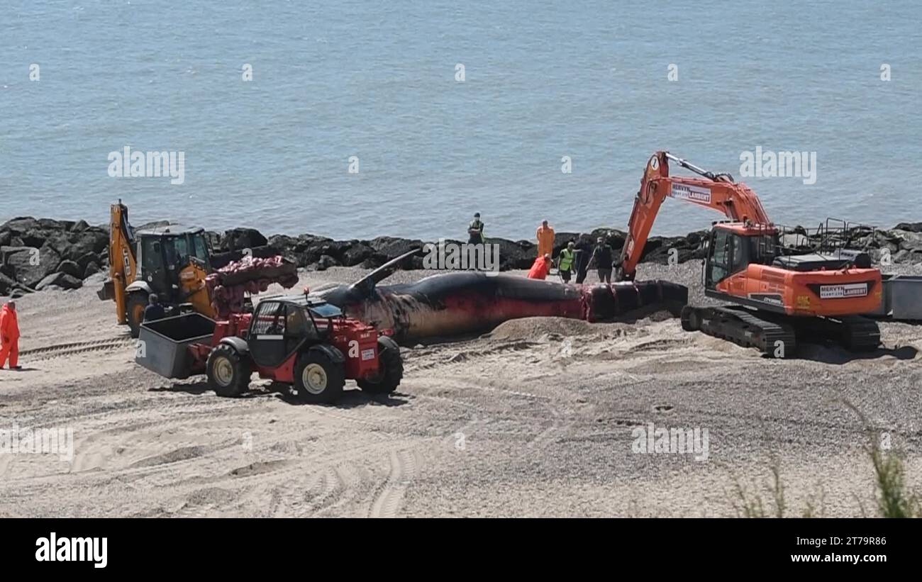 Beach operation Stock Videos & Footage - HD and 4K Video Clips - Alamy
