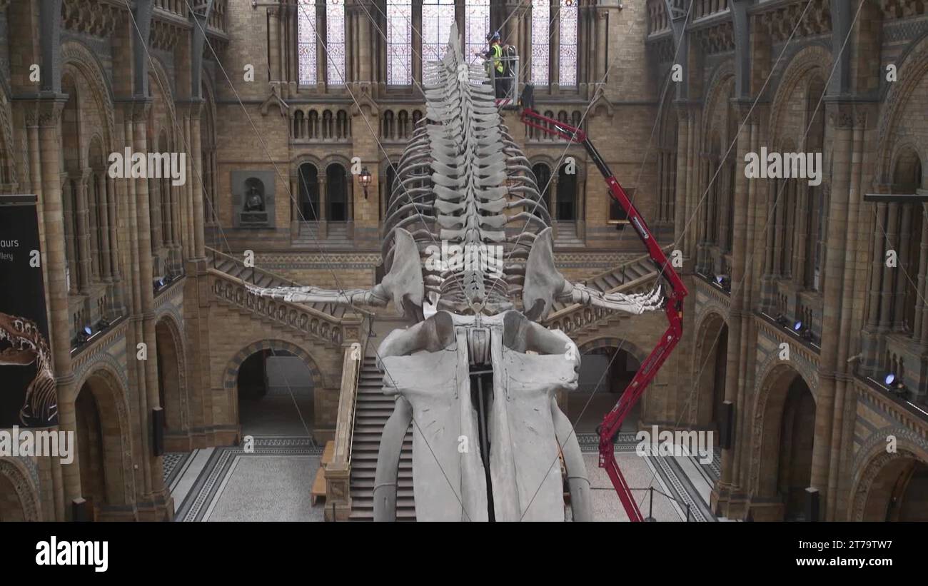 Doors museum open Stock Videos & Footage - HD and 4K Video Clips - Alamy