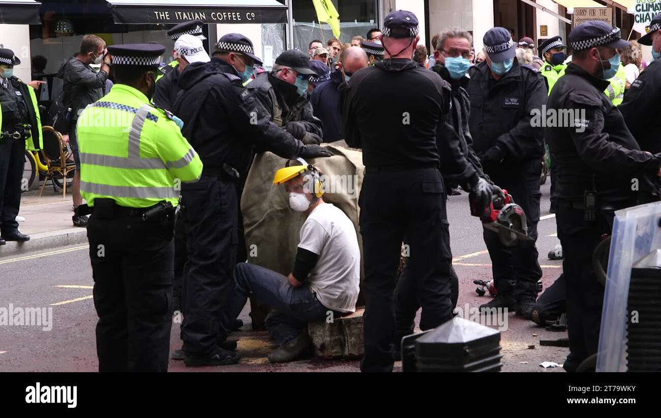 Protesters in tree Stock Videos & Footage - HD and 4K Video Clips - Alamy