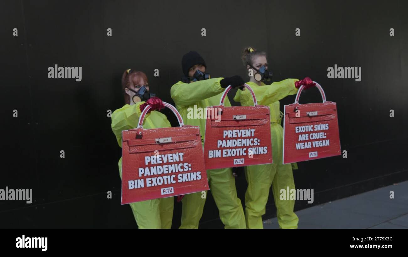 Peta organisation Stock Videos & Footage - HD and 4K Video Clips - Alamy