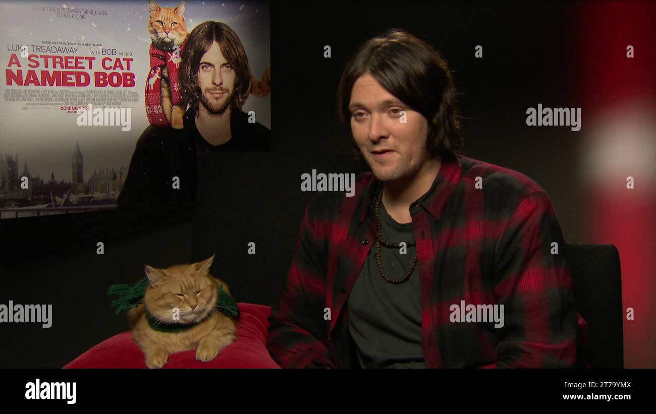 A Street Cat Named Bob - Interview with James Bowen and Bob the cat ...