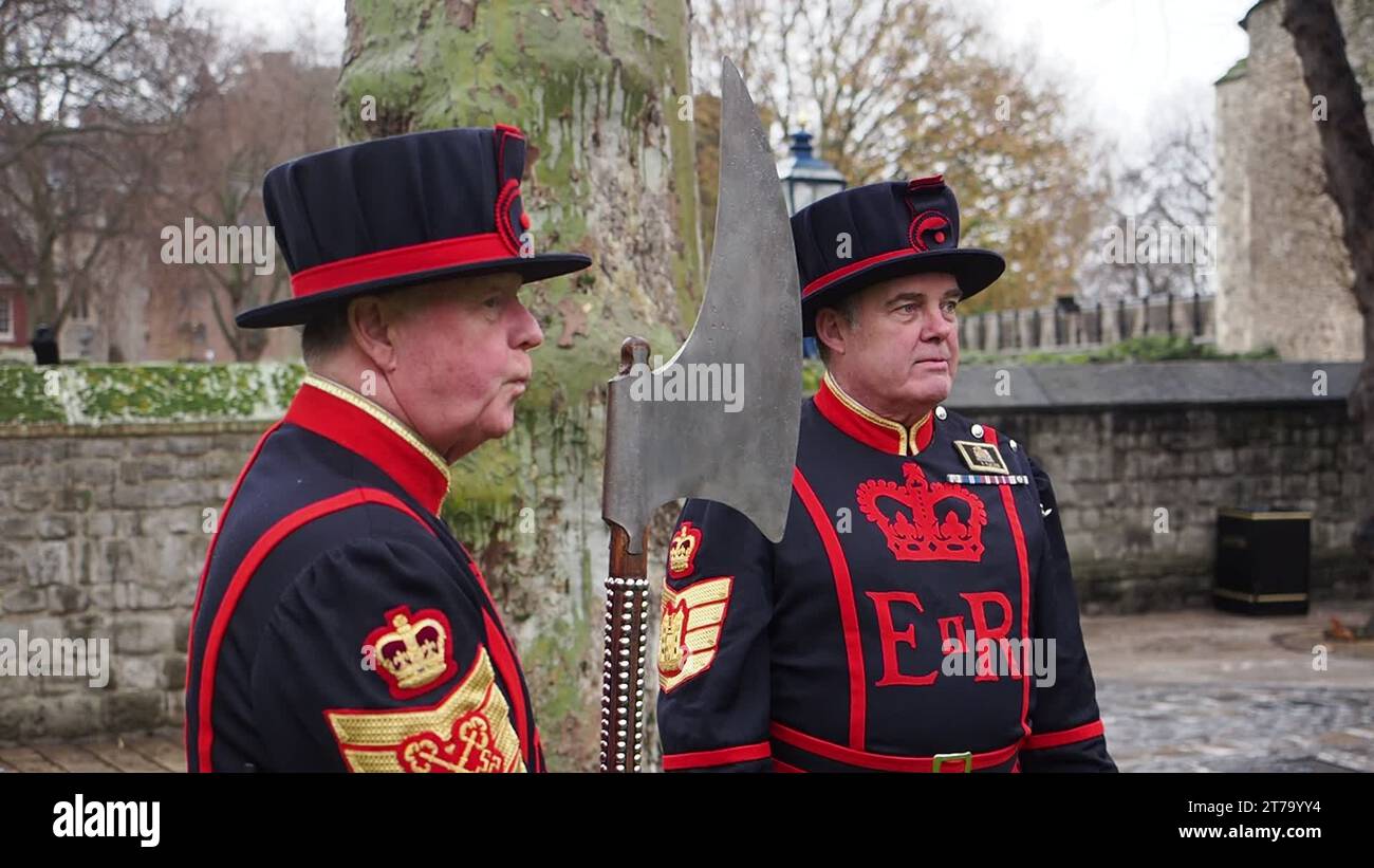 Tower of london beefeater raven Stock Videos & Footage - HD and 4K ...