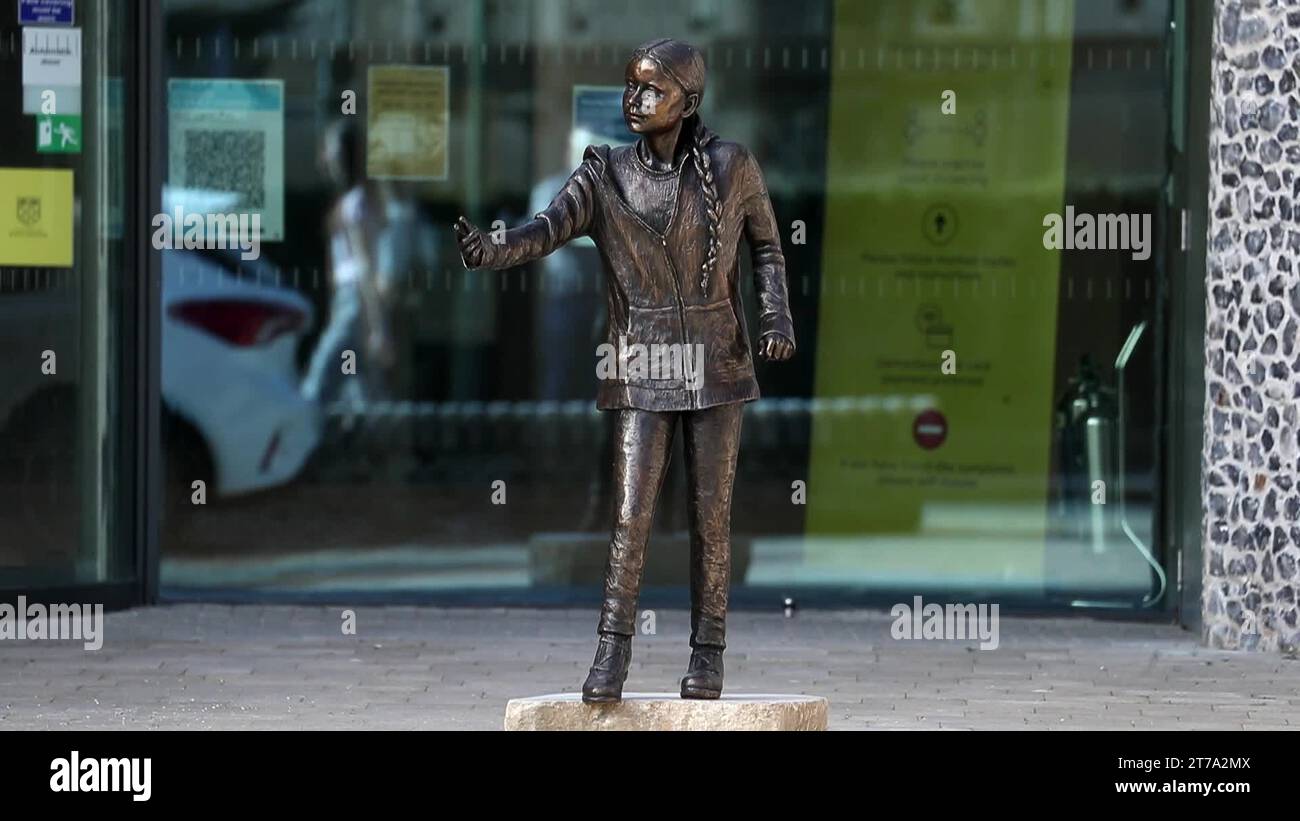 Greta thunberg statue Stock Videos & Footage - HD and 4K Video Clips ...