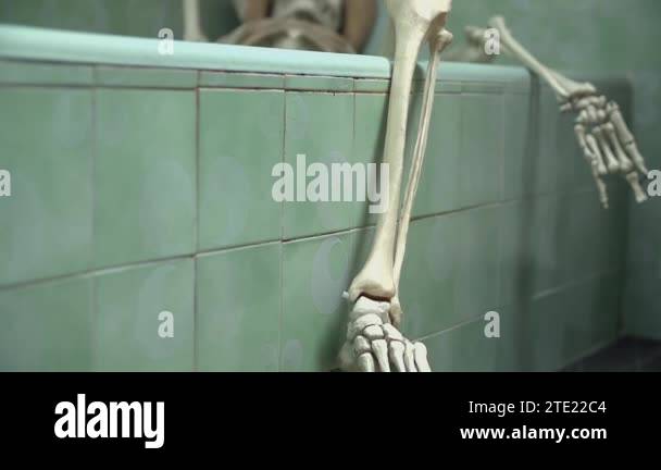 Skeleton laying in bath Stock Videos & Footage - HD and 4K Video Clips ...