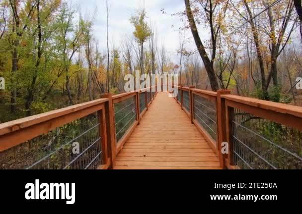 Elevated wood walk trail Stock Videos & Footage - HD and 4K Video Clips ...
