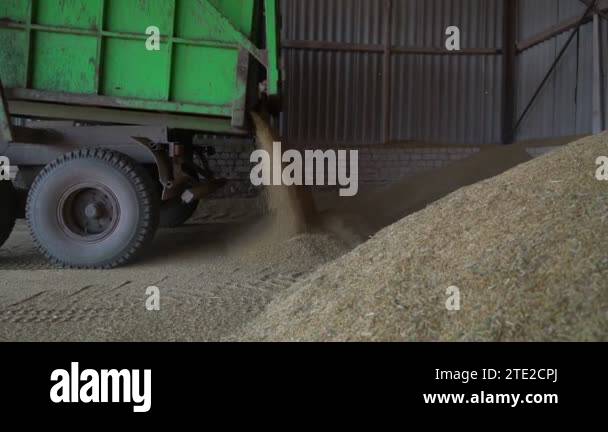 Grain farms Stock Videos & Footage - HD and 4K Video Clips - Alamy