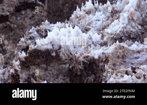 Salt valley with dirty cracked and swollen crystalline salt, dead salt ...