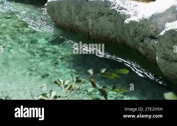 Running under the sun Stock Videos & Footage - HD and 4K Video Clips ...