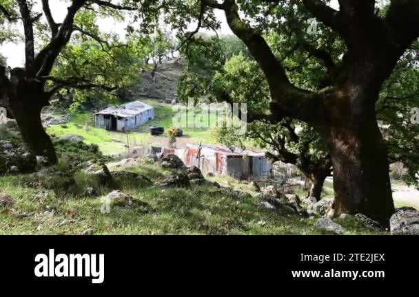 Greek barn Stock Videos & Footage - HD and 4K Video Clips - Alamy