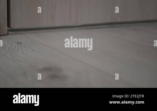 Postman delivery letter illustration Stock Videos & Footage - HD and 4K ...