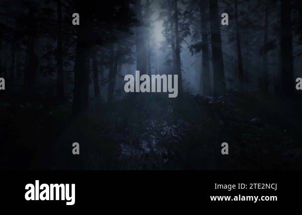 Scary scene mysterious dark forest Stock Videos & Footage - HD and 4K ...