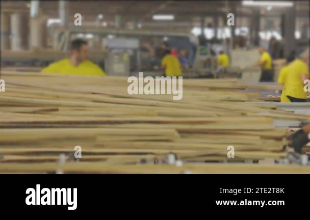 People work on the conveyor belt of a furniture factory. Sorting wood ...