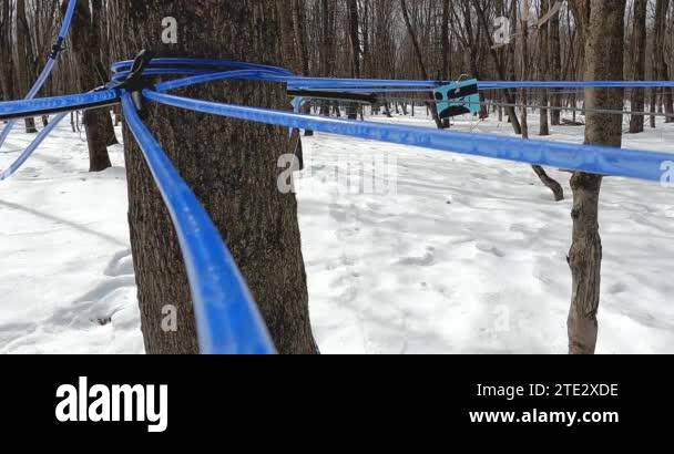 Tubbing Stock Videos & Footage - HD and 4K Video Clips - Alamy