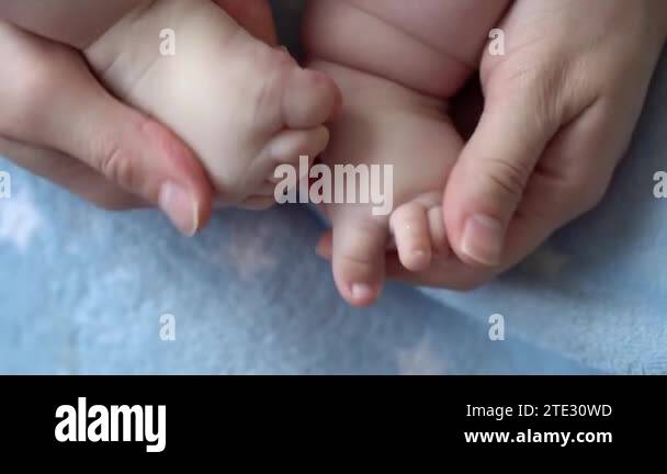 Baby Feet On Mother Hands. Cute Tiny Newborn Kids Legs On Female ...