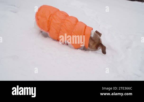 Toy snow Stock Videos & Footage - HD and 4K Video Clips - Alamy