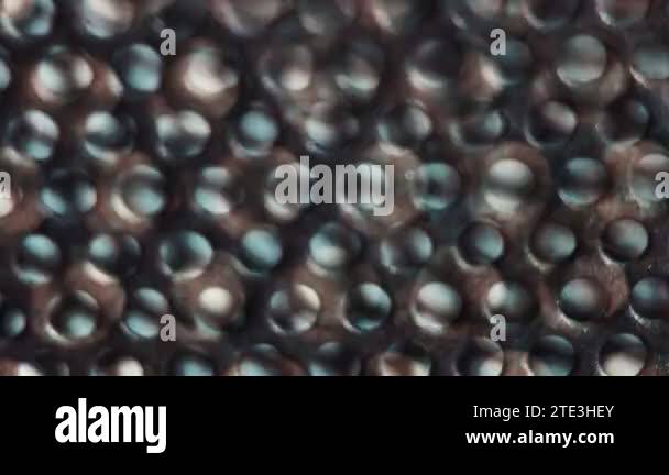 Stop frame animation Stock Videos & Footage - HD and 4K Video Clips - Alamy