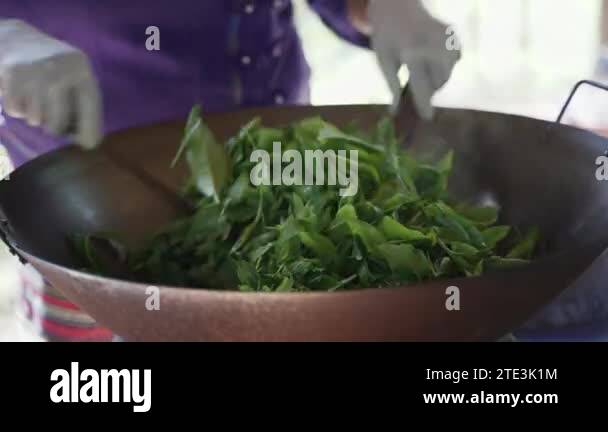 Traditional method of drying tea leaves, pan-fried tea leaves in large ...