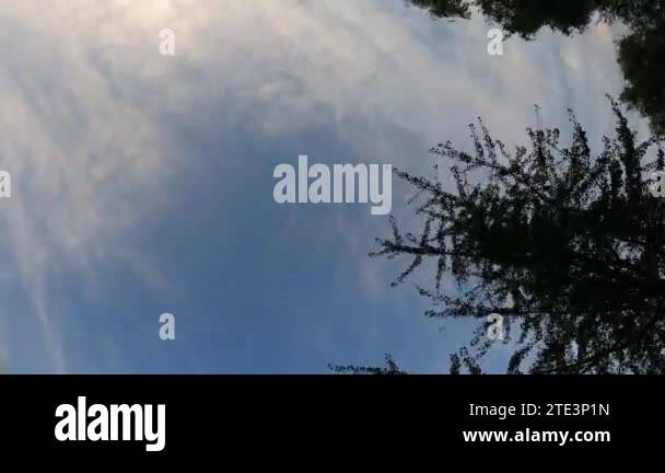Beautiful blue sky with lots of clouds timelapse. Cloudy sky in summer ...