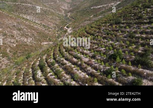 Drone reforestation Stock Videos & Footage - HD and 4K Video Clips - Alamy Drone reforestation Stock Videos & Footage - HD and 4K Video Clips - Alamy