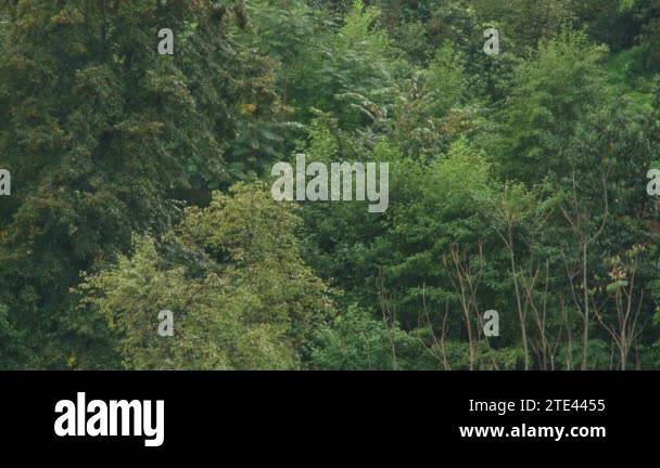 Microburst weather Stock Videos & Footage - HD and 4K Video Clips - Alamy