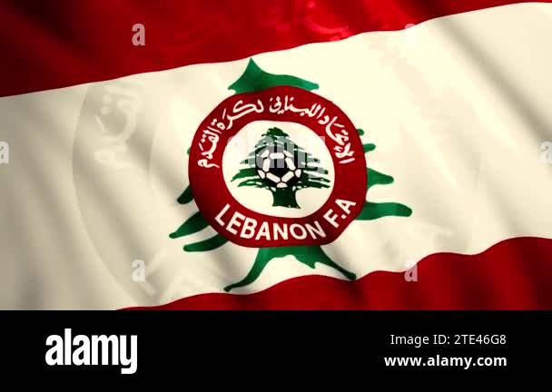 Lebanese cedar tree Stock Videos & Footage - HD and 4K Video Clips - Alamy