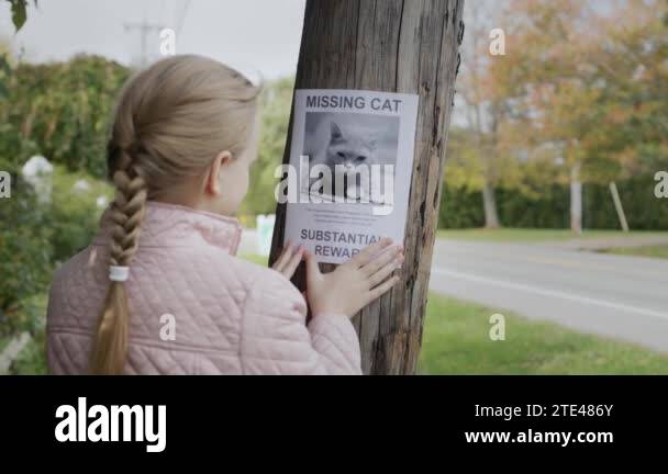 Pole award Stock Videos & Footage - HD and 4K Video Clips - Alamy