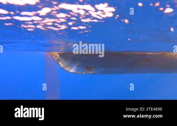 4K.Fishing net hanging from the boat under the sea.Underwater fishing ...
