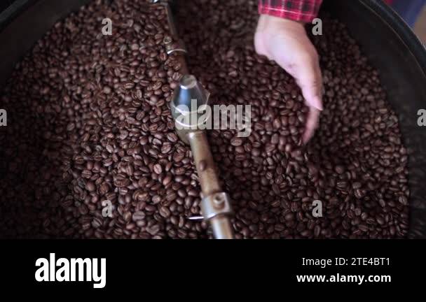 Coffee cycle Stock Videos & Footage - HD and 4K Video Clips - Alamy