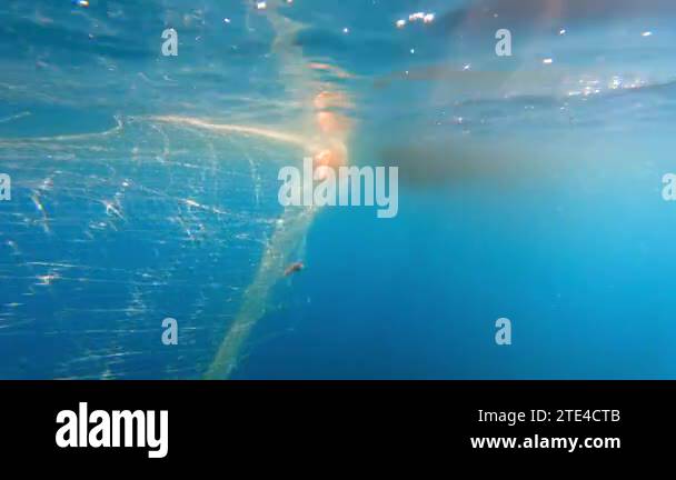 4K.Caught fish in the net hanging from the boat under the sea ...