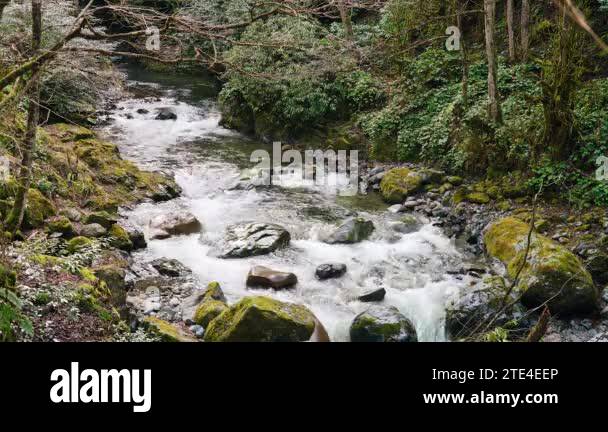 Fluvial water Stock Videos & Footage - HD and 4K Video Clips - Alamy
