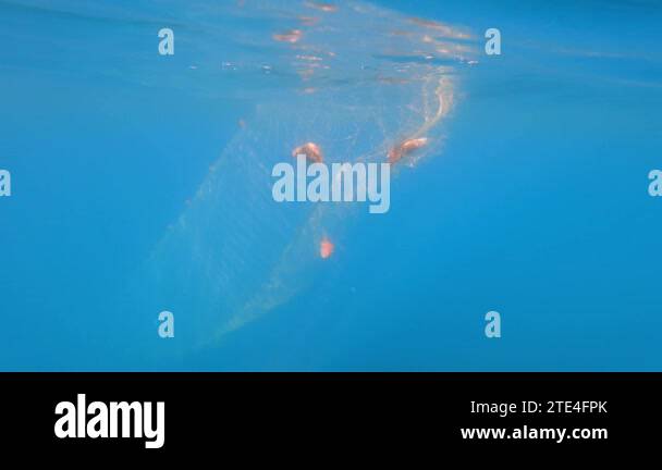 4K.Caught fish in the net hanging from the boat under the sea ...