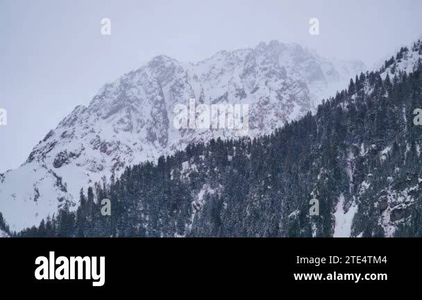 8K 7680X4320 4320p.Snowy mountain peak behind the forest.High altitude ...