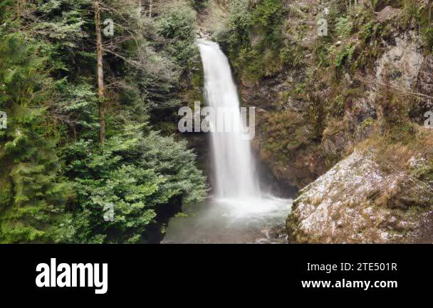 8K 7680X4320 4320p.Large waterfall among the trees in untouched forest ...