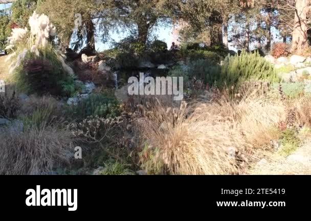 Medieval castle valentino park Stock Videos & Footage - HD and 4K Video ...