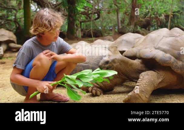 Interaction people wildlife Stock Videos & Footage - HD and 4K Video ...
