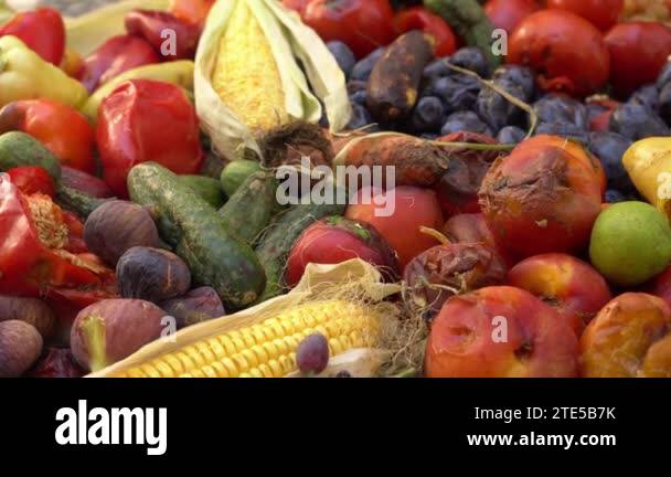 Food waste. A pile of discarded rotten and spoiled fruits and ...