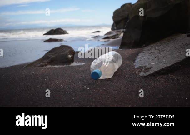 Seashore ecosystem Stock Videos & Footage - HD and 4K Video Clips - Alamy