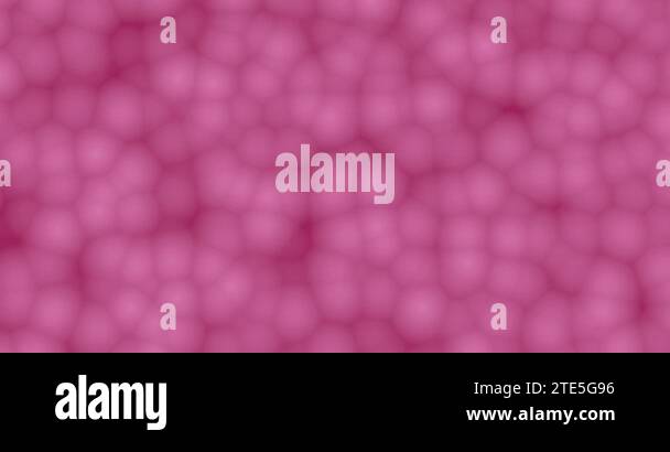 Pacific pink liquid background. Seamless loop. 3D animation. Ideal for ...